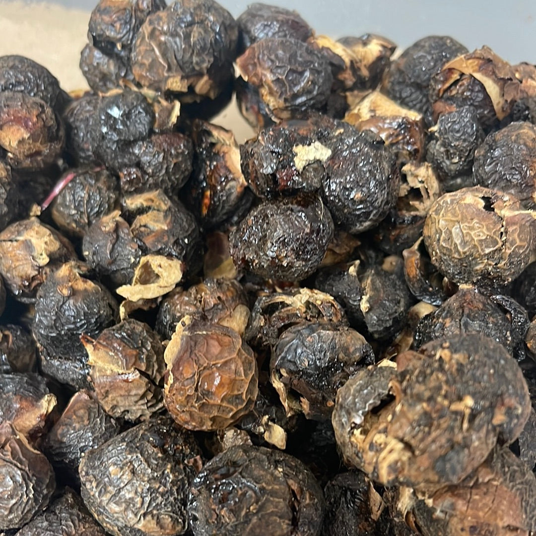 Soap Nut Shells | Organic | By the Ounce – Quartz and Company